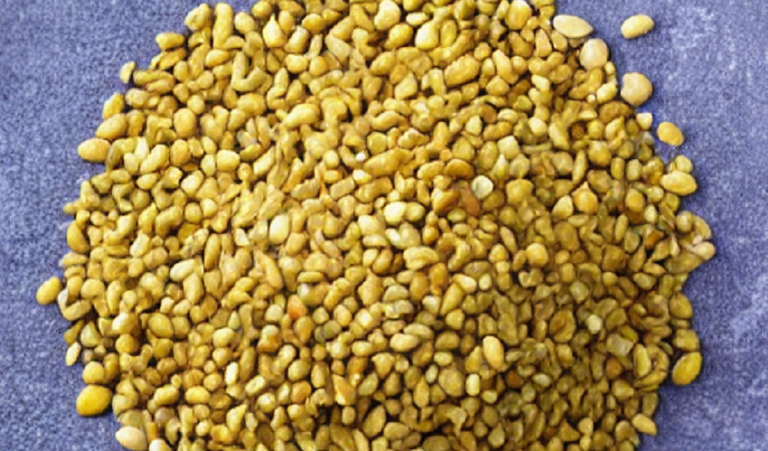 Benefits of Fenugreek Seeds for Diabetes